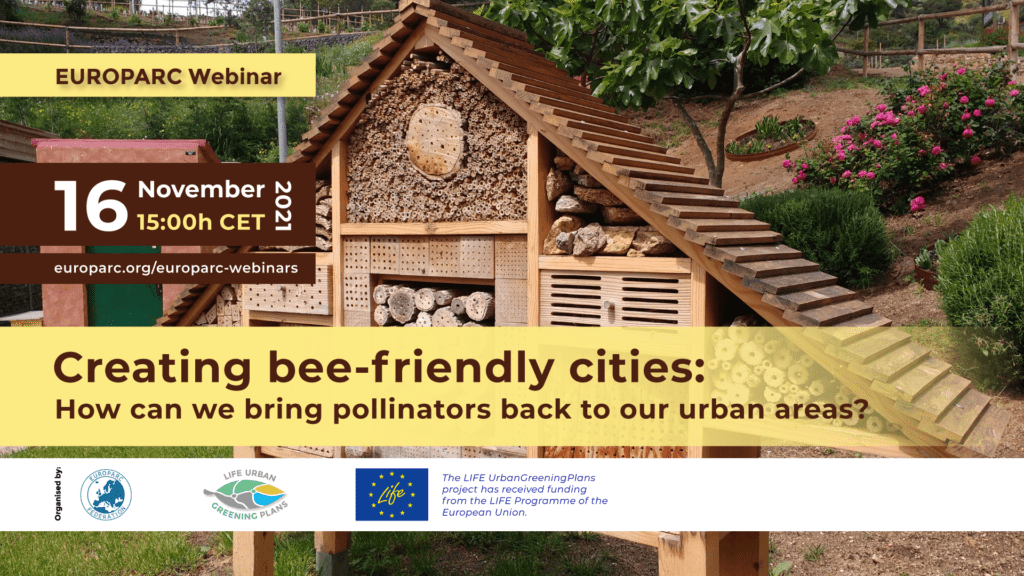 Creating bee-friendly cities: How can we bring pollinators back to our ...