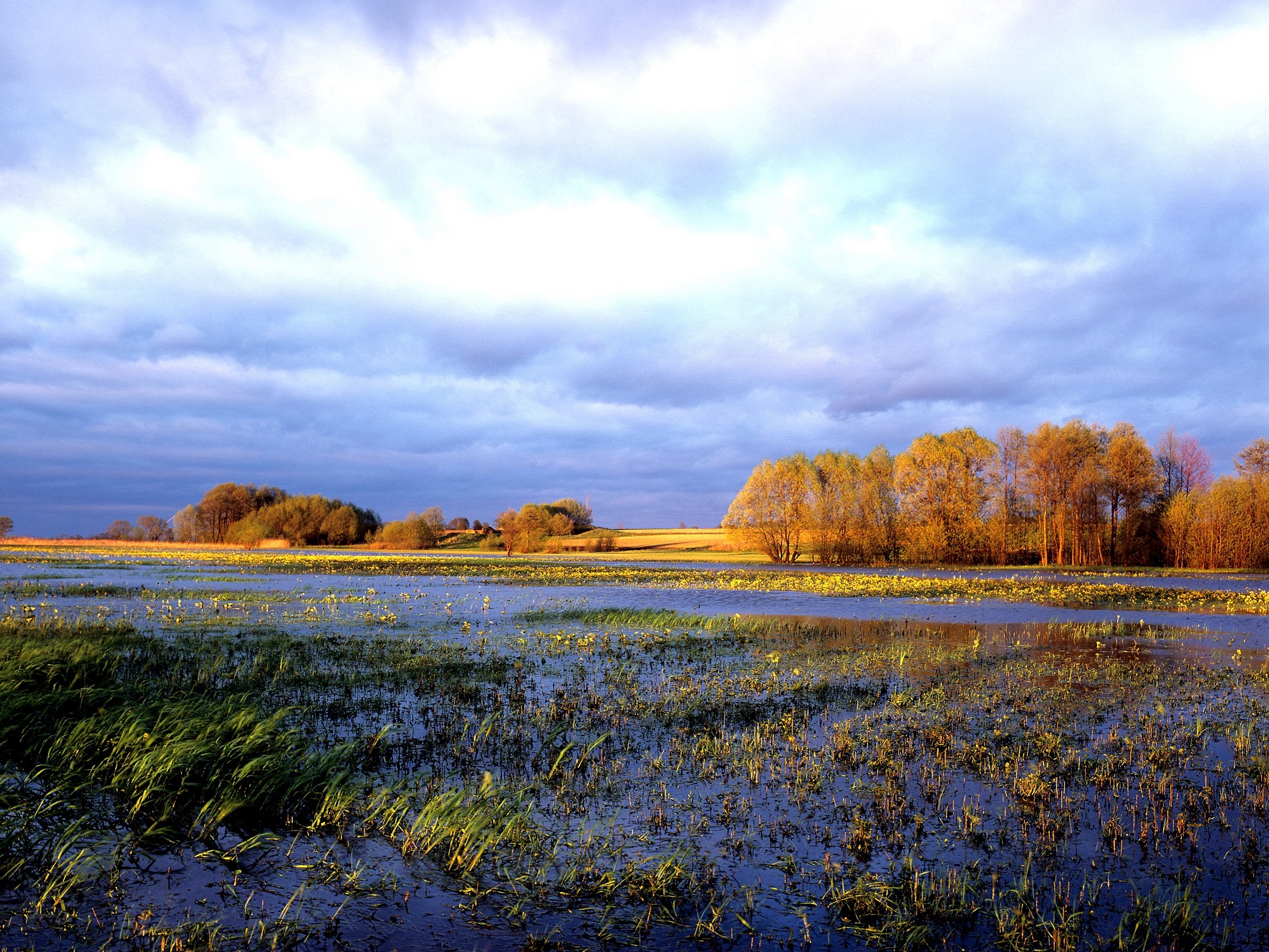 EUROPARC Network - EUROPARC Federation