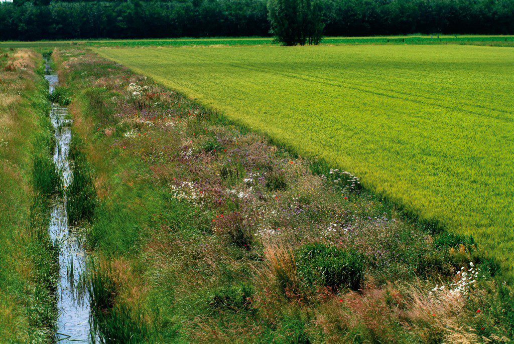 Agriculture and Biodiversity - EUROPARC Federation