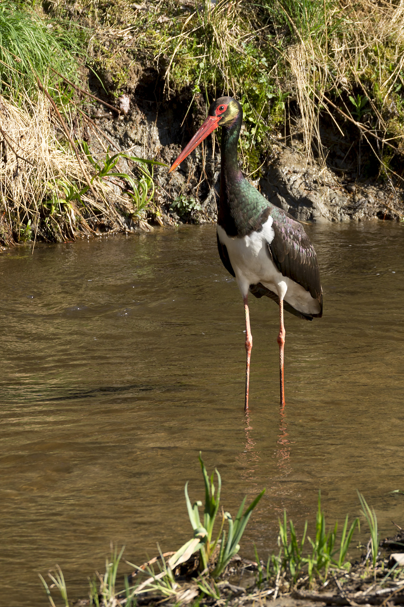 Lahemaa National Park - 45 years working with the local community ...