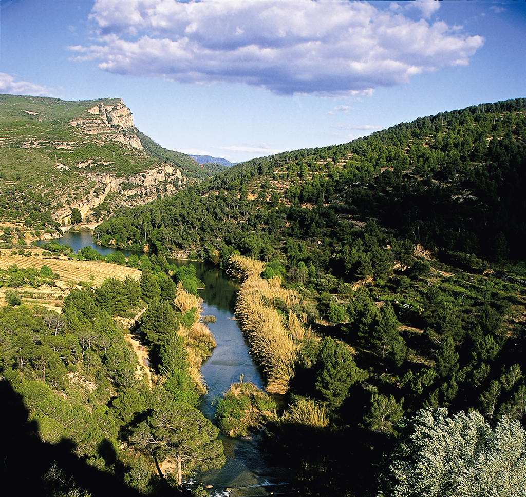 What do we do with our forests? Life RedBosques - EUROPARC Spain ...