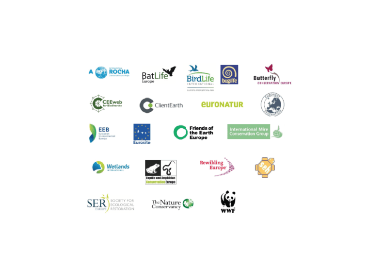 Recommendations for the post-2020 Biodiversity Strategy - EUROPARC ...