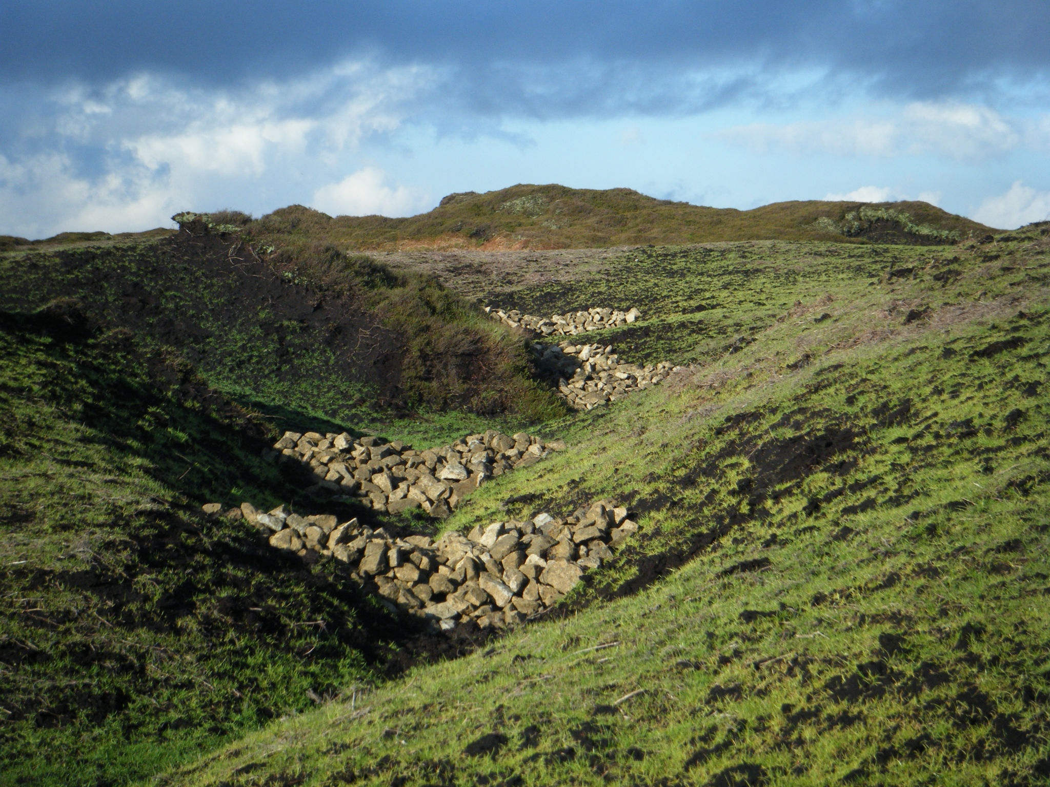 Restoring peatlands: the most efficient terrestrial carbon-sink in the ...