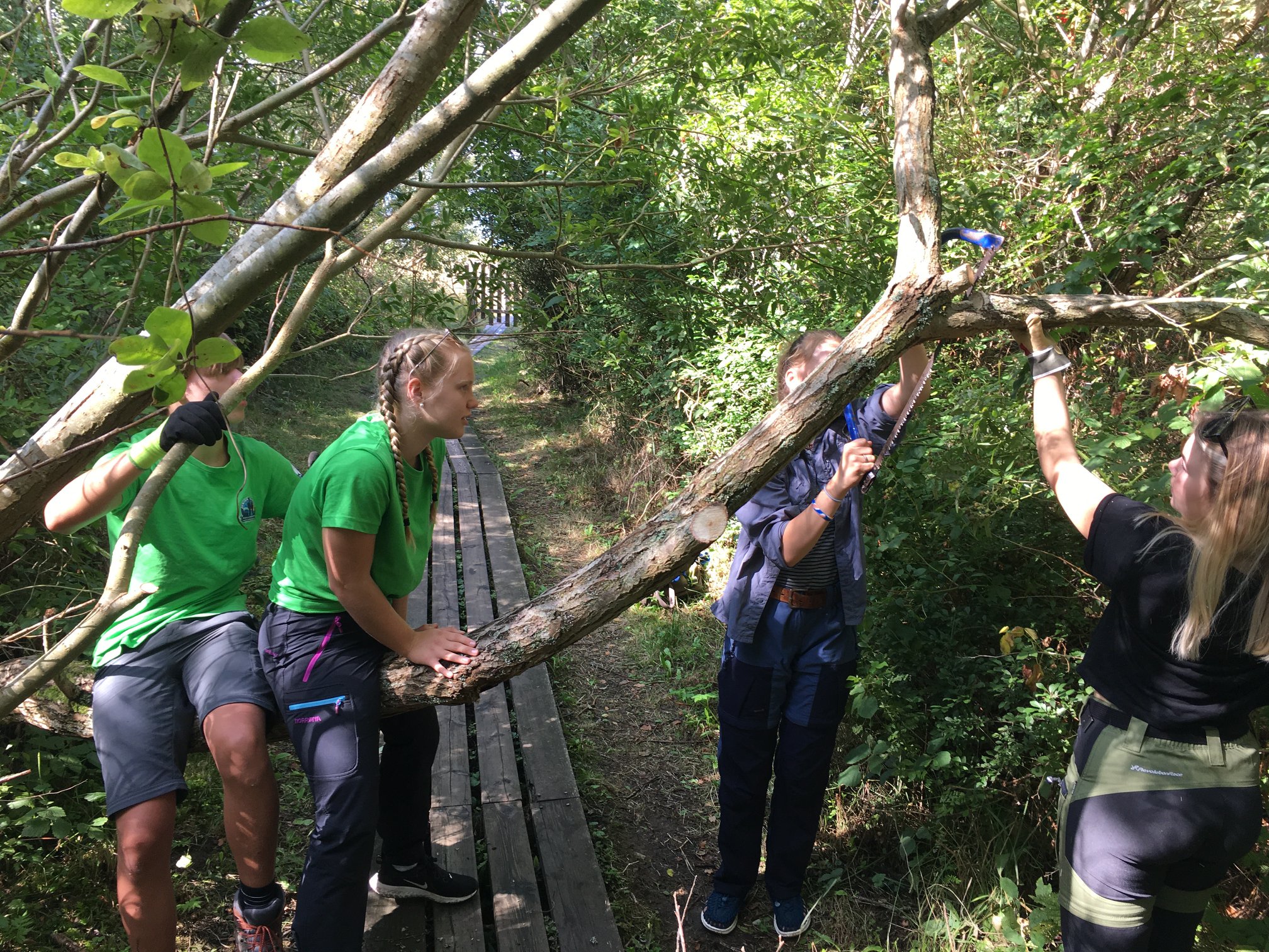 Junior Ranger Camp on Kullaberg, Sweden. - EUROPARC Federation