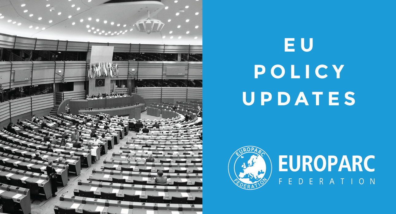 Towards a new European Commission with a strong Environmental approach