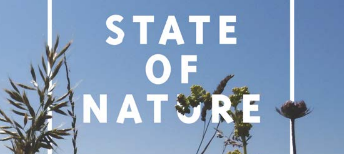 State of Nature 2019 Reports reveal human impacts on wildlife in the UK ...