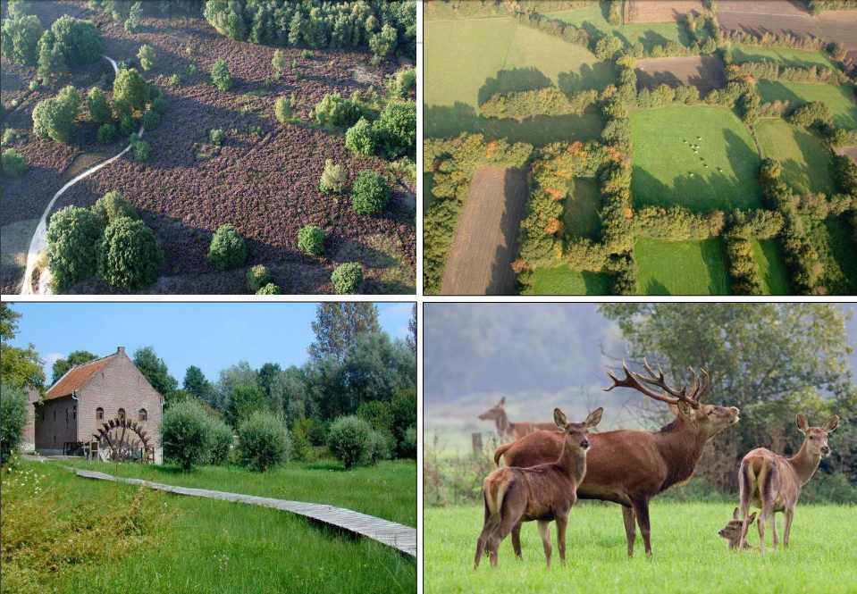 Landscape design for people and biodiversity: a case from a post-mining ...