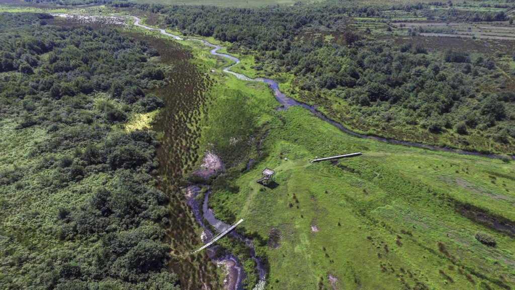 Georgia's Colchic Rainforests and Wetlands nominated as UNESCO World ...