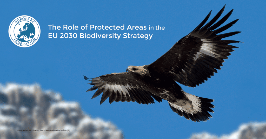 The role of Protected Areas in the EU 2030 Biodiversity Strategy