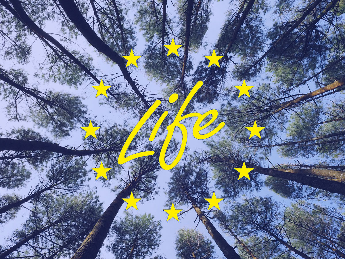 LIFE programme: call for proposals are now OPEN! - EUROPARC Federation