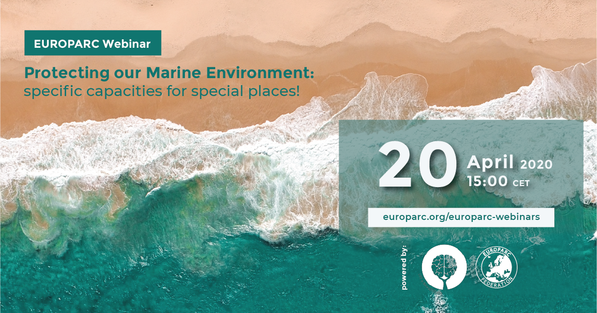 Protecting our Marine Environment: specific capacities for special ...
