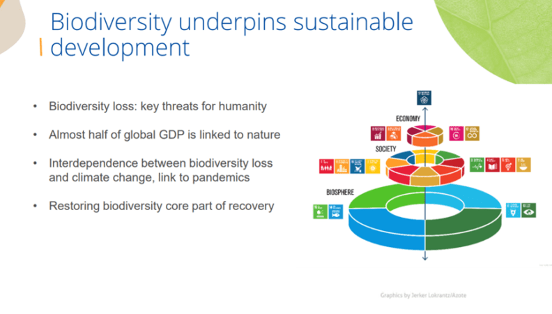 EU Biodiversity Strategy - EUROPARC Federation