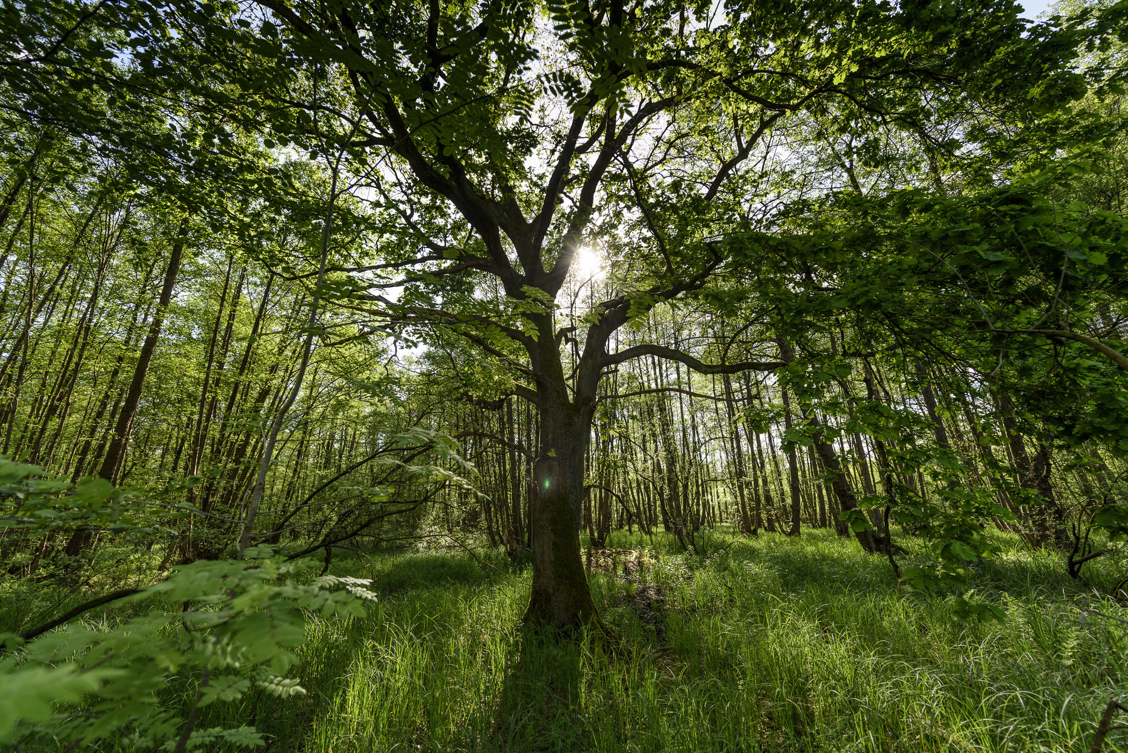 European Cooperation Platforms - EUROPARC Federation