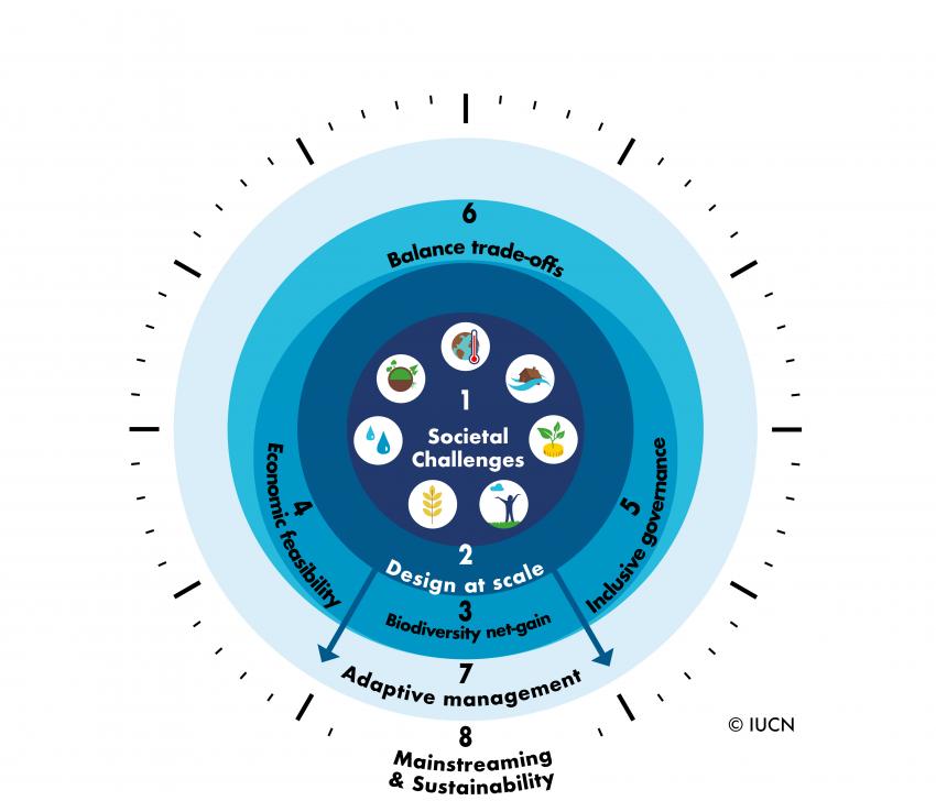 IUCN Global Standard for Nature-based Solutions - EUROPARC Federation