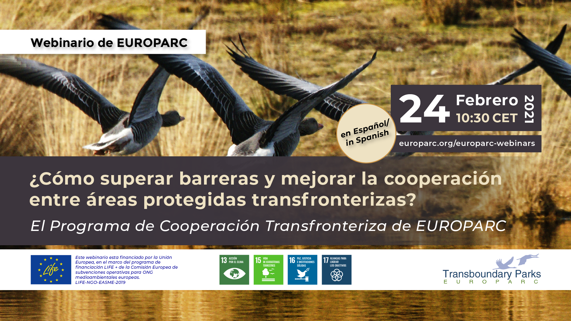 Next webinar: ¿Cómo superar barreras y mejorar la cooperación entre ...