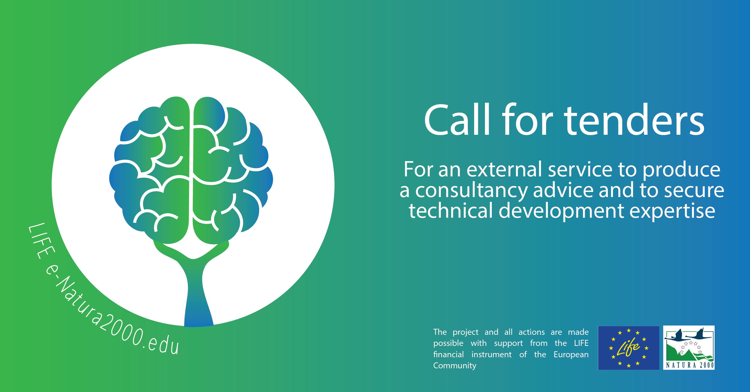 Call for tenders: External Service Contract for project evaluation ...