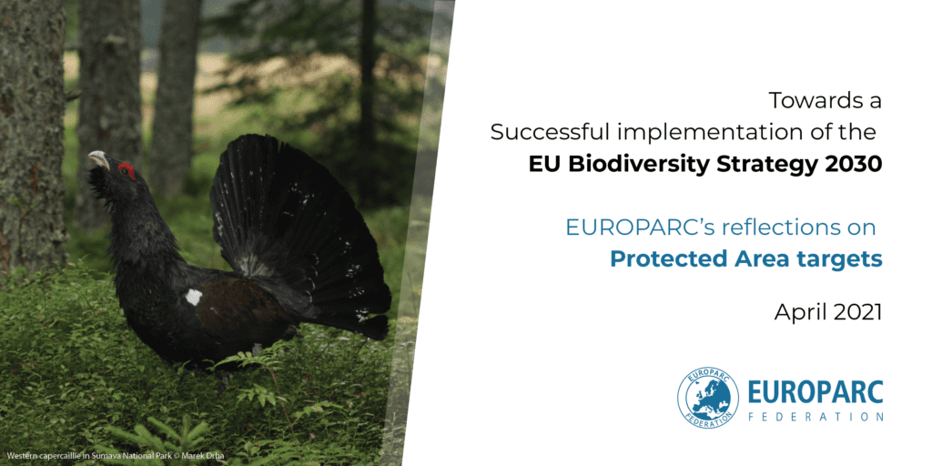 The EU Biodiversity Strategy 2030 & Protected Area targets - EUROPARC ...