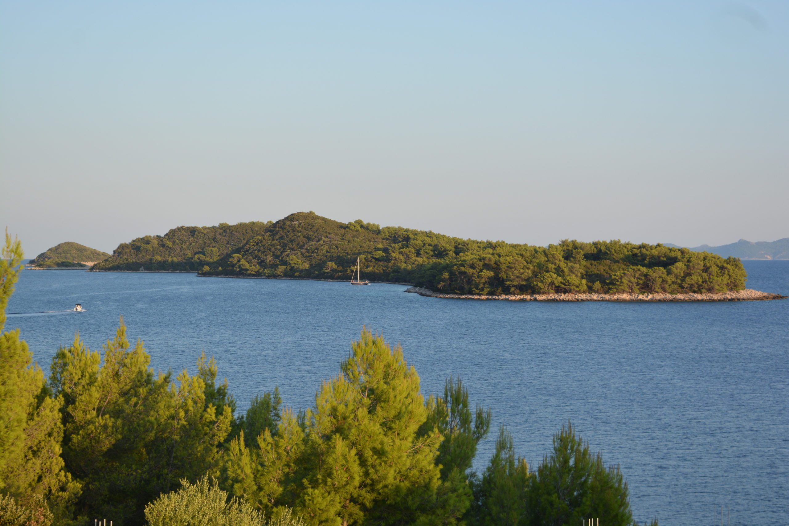 Creating a Nature Positive Future: The Contribution of Protected Areas ...