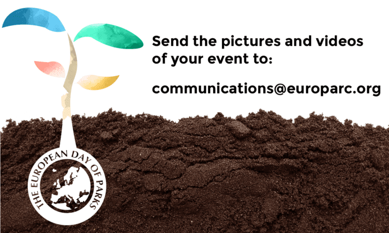 We are Building on our Roots this European Day of Parks! - EUROPARC ...