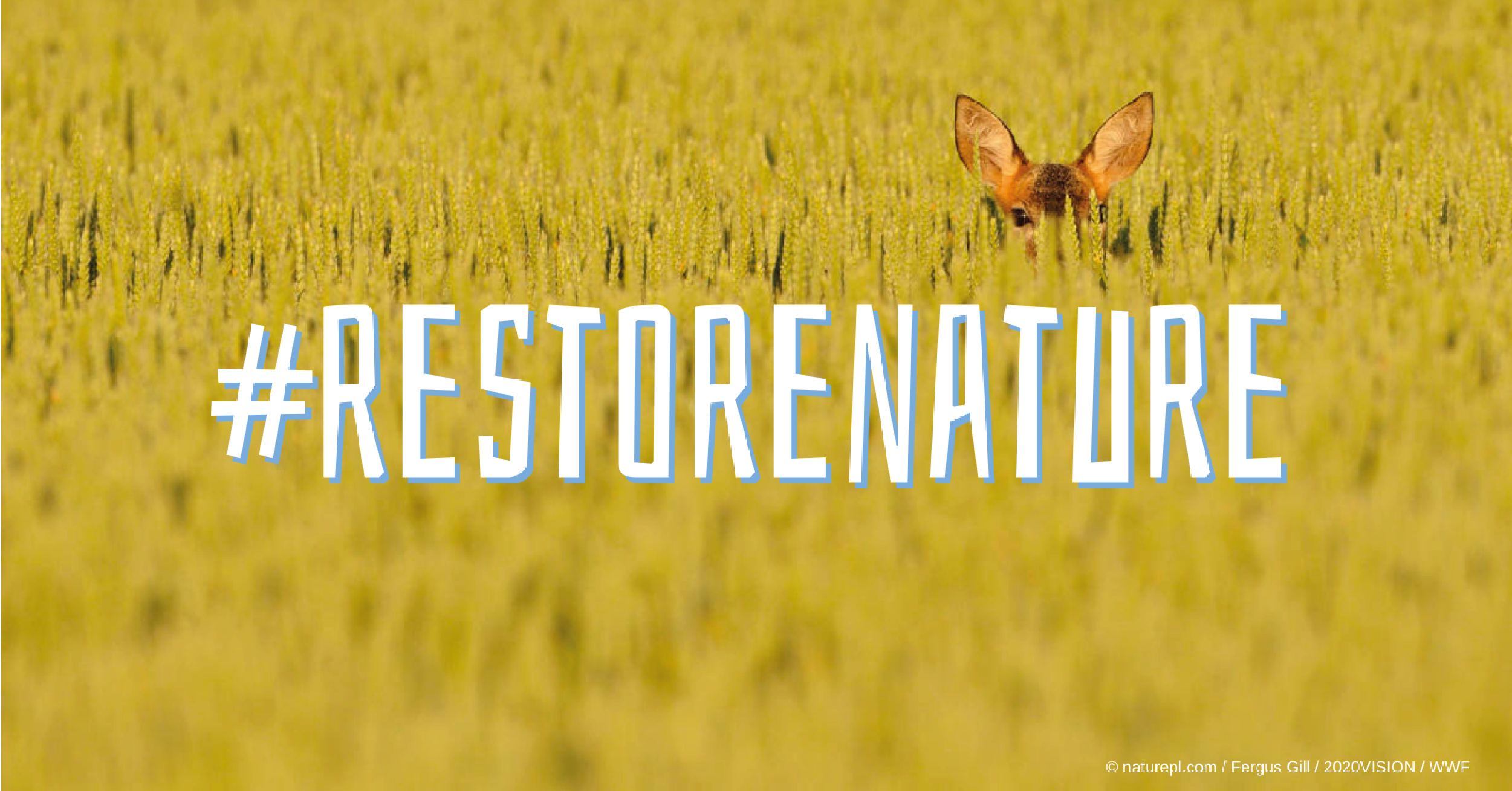 The Time is Now for Nature Restoration - EUROPARC Federation