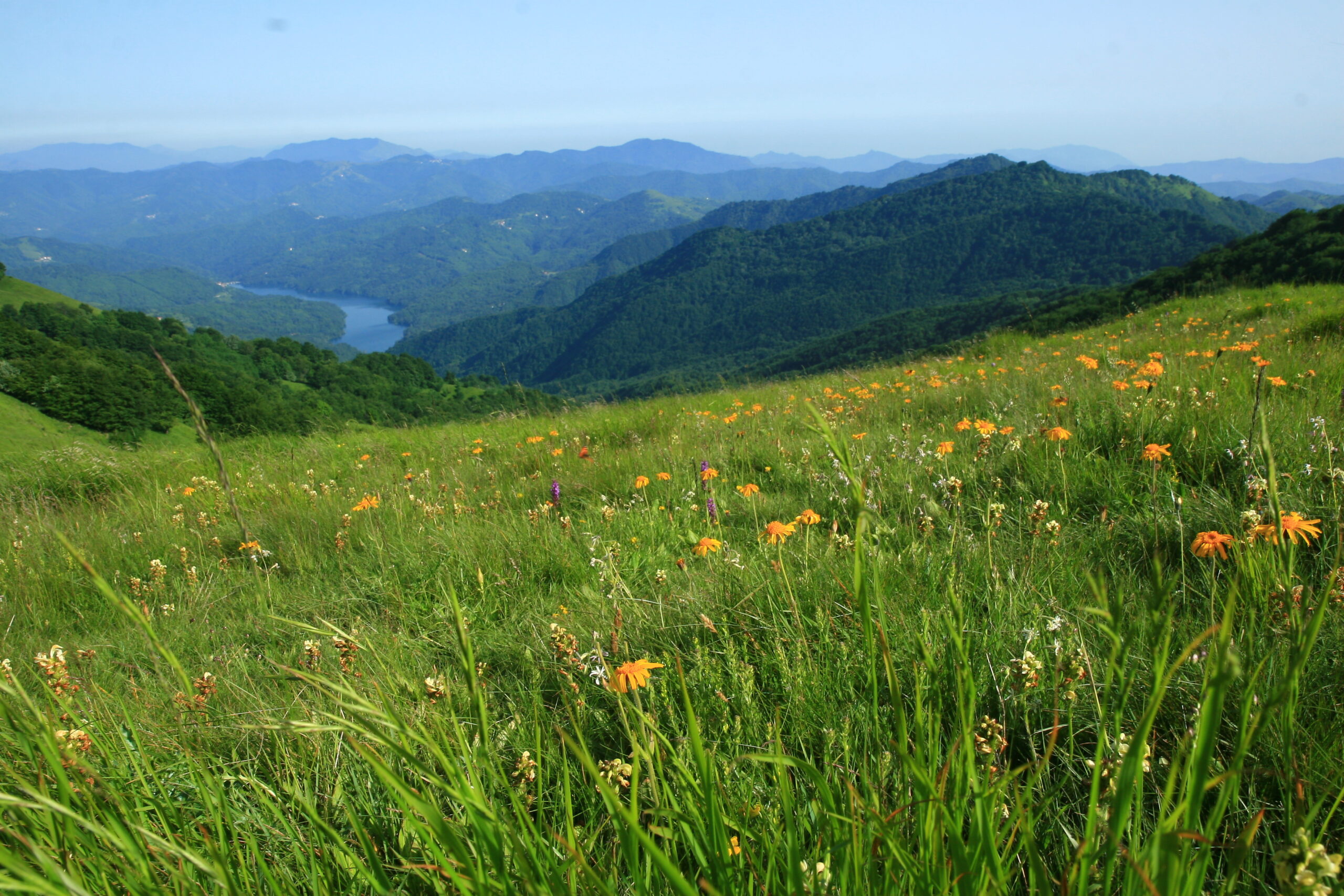 EUROPARC Newcomer: Antola Park Authority - EUROPARC Federation Antola Park