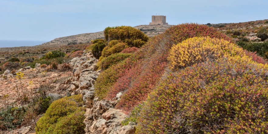 Welcome ERA – Malta’s Environmental Regulator Joins EUROPARC ...