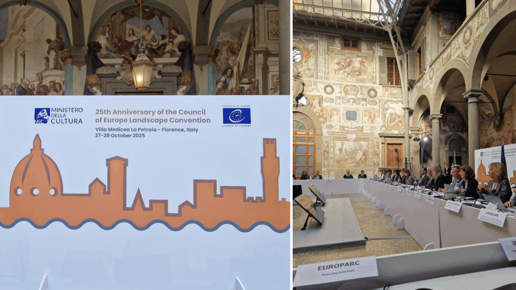 25 Years of the Council of Europe Landscape Convention - EUROPARC ...